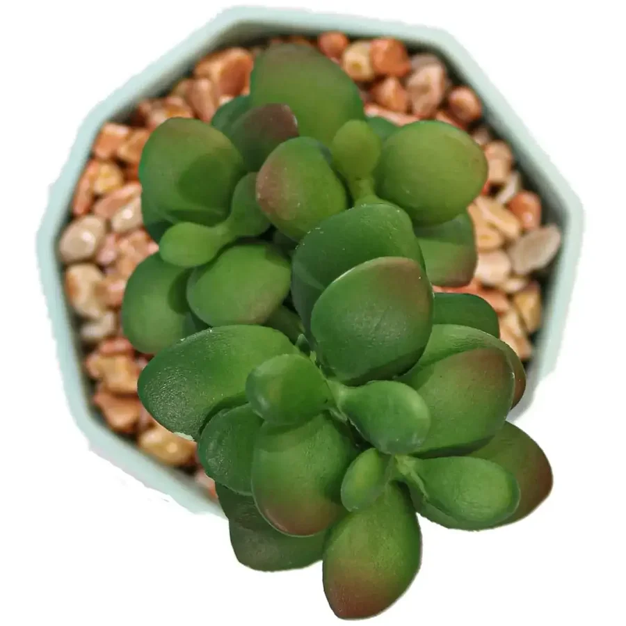 Aranjament planta suculenta in ghiveci gri- grey 2108 Ella Home - Brick ...