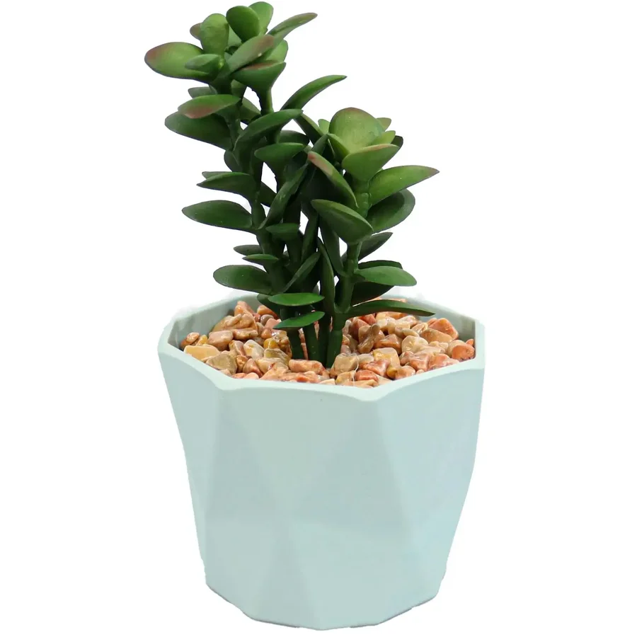 Aranjament planta suculenta in ghiveci gri- grey 2108 Ella Home - Brick ...