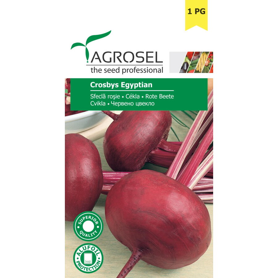 Seminte sfeclă roşie crosbys egyptian pg1 Agrosel - Brick Romania