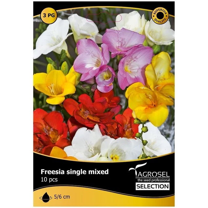 Bulbi flori freesia single mix Starsem/Agrosel - Brick Romania